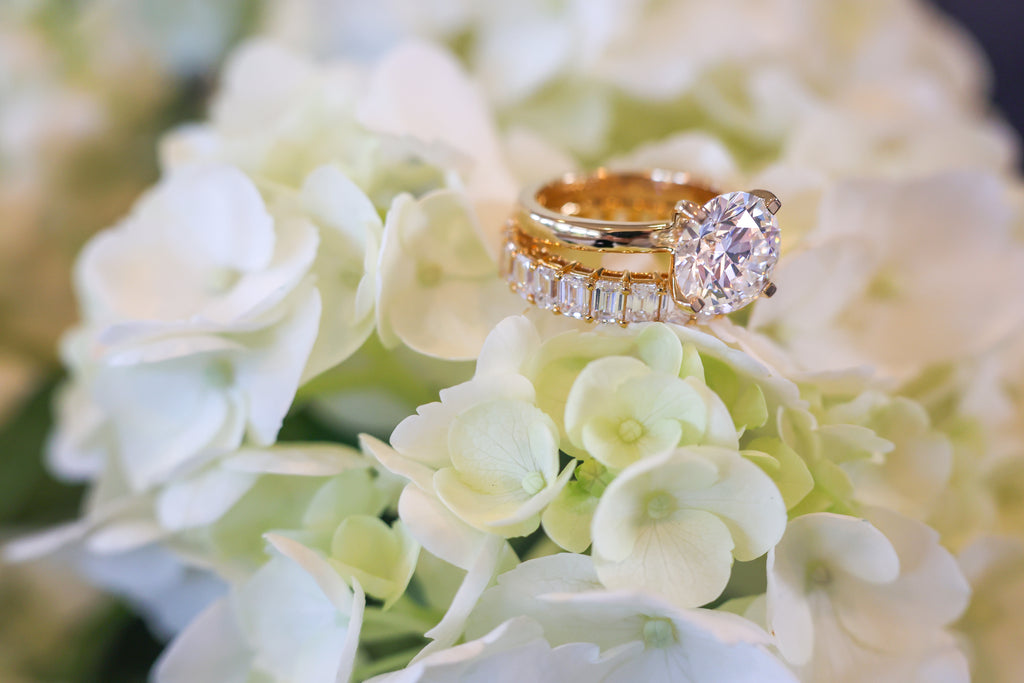 Maison Diamond | The Home for Diamond Couture